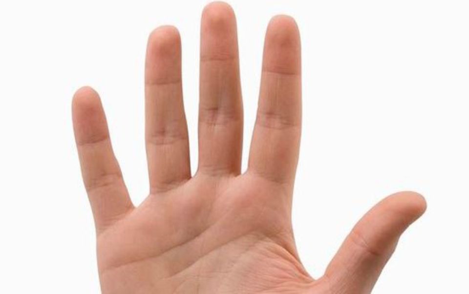 Pria Romantis itu yang Punya Jari Manis Panjang