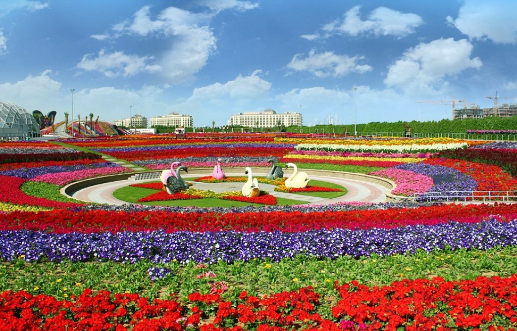 Taman Bunga Terbesar Dibangun di Tengah Gurun Pasir