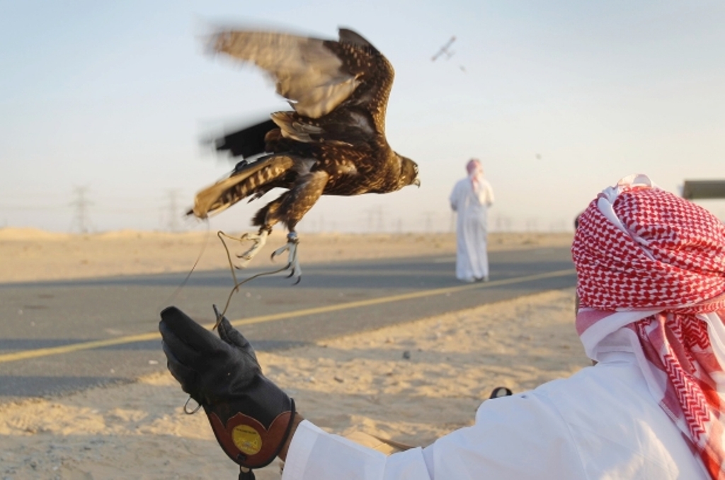 Falconry dan Balap Unta Khas Dubai yang Memikat Wisatawan