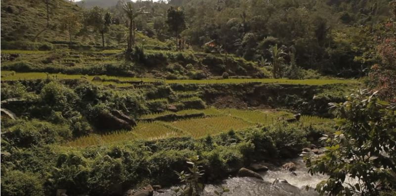 Jaga Alam demi Kelangsungan Umat Manusia