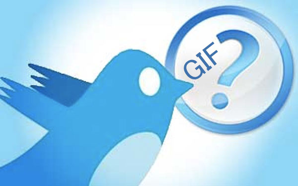 Twitter Segera Hadirkan Fitur Pencarian GIF