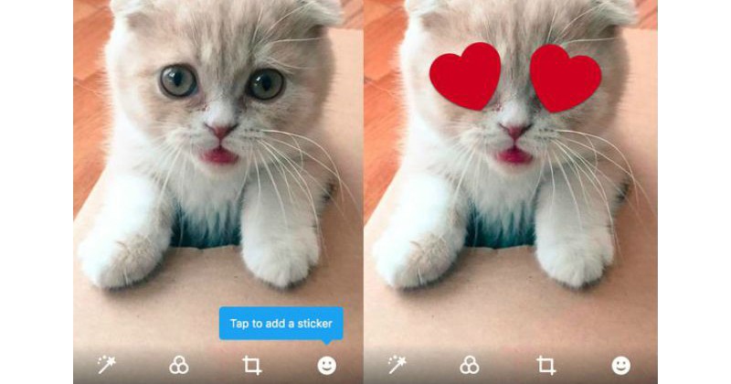 Twitter Ikut Sisipkan Fitur Stiker Foto?