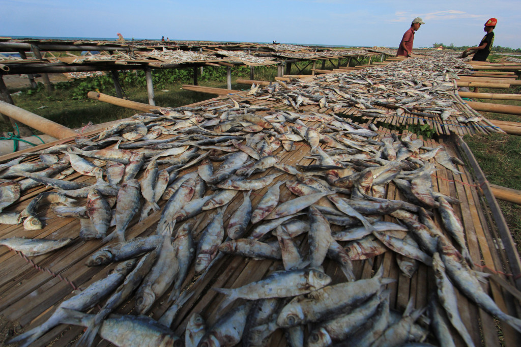 Menperin Genjot Pertumbuhan Industri Perikanan