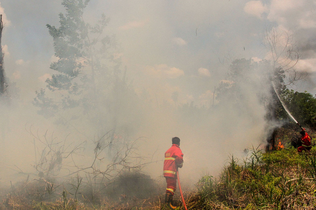 Kebakaran Lahan di Riau Capai 2.719 Hektare