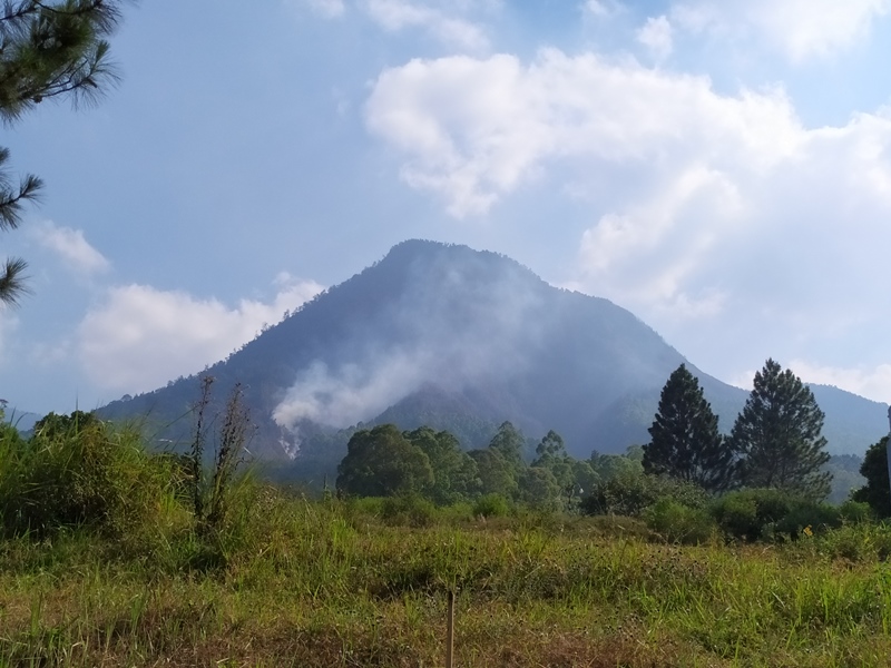 Pendaki Khawatirkan Kondoso Kera di Gunung Panderman