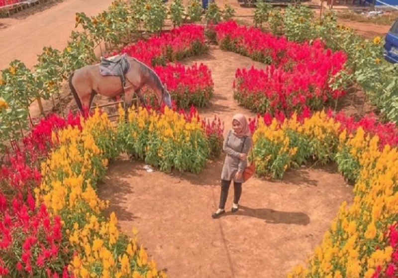 Dana Desa Ubah Tempat Pembuangan Sampah Jadi Taman Bunga