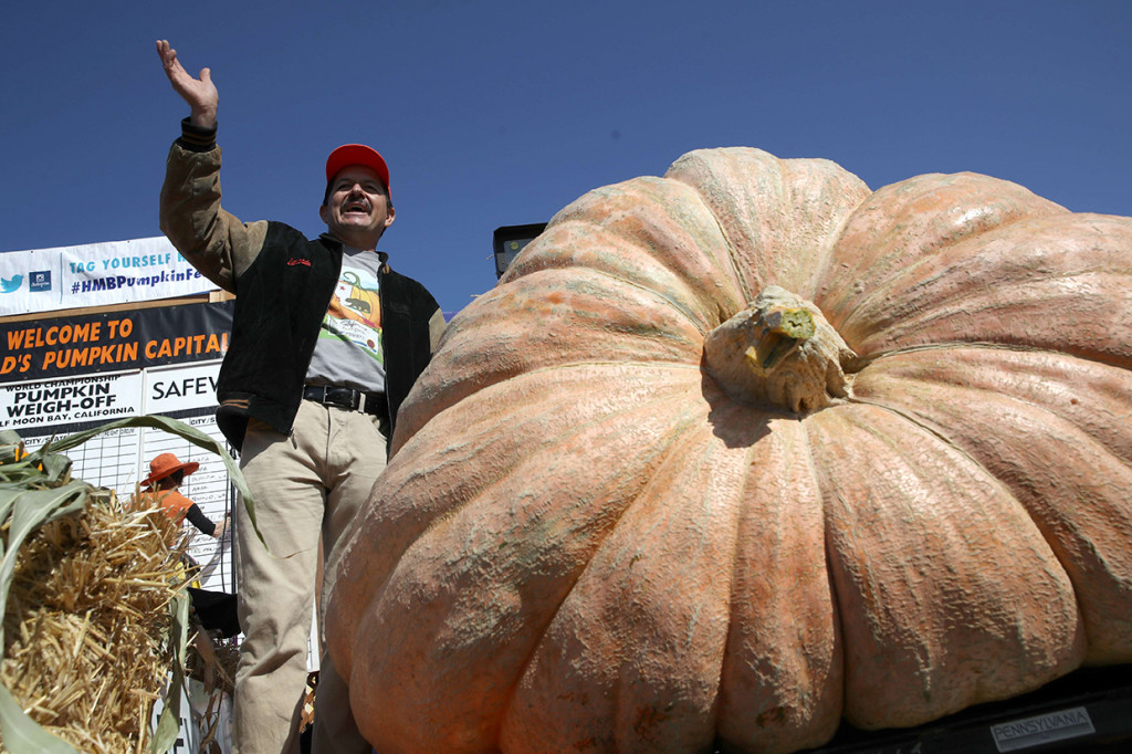 Uniknya Kejuaraan Labu Raksasa di California