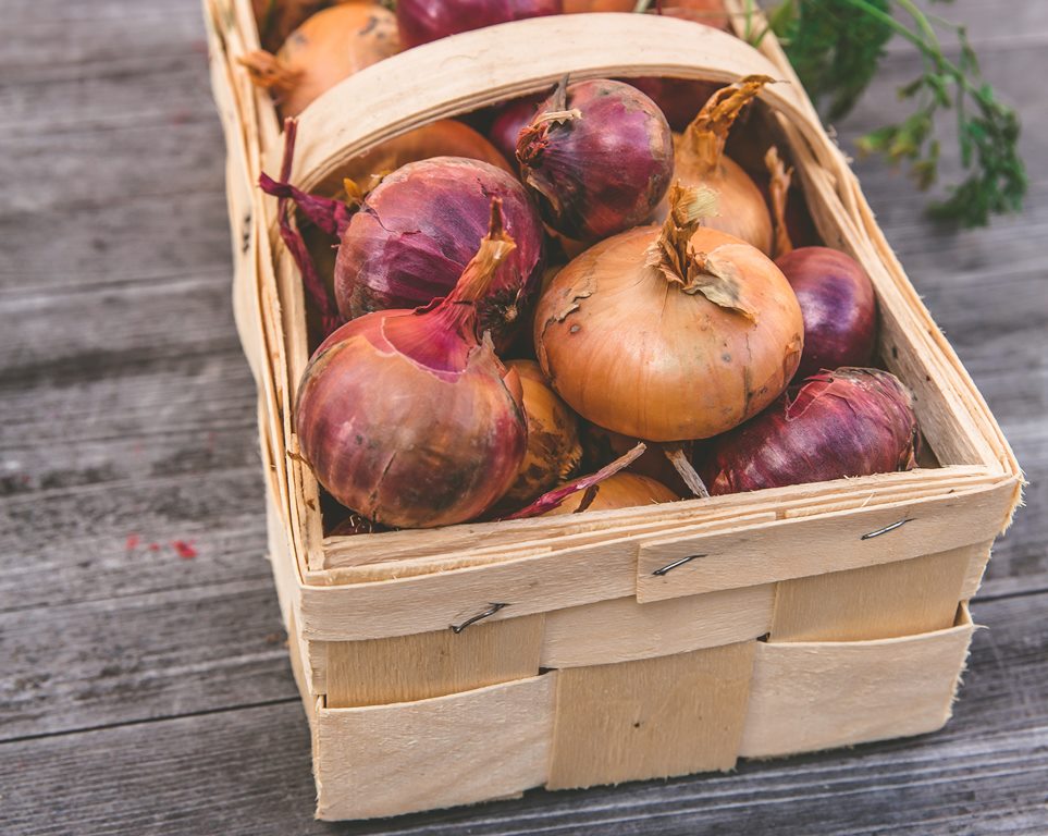 Jangan Dibuang Dulu, Ini 4 Manfaat Kulit Bawang Jangan Dibuang Dulu, Ini 4 Manfaat Kulit Bawang