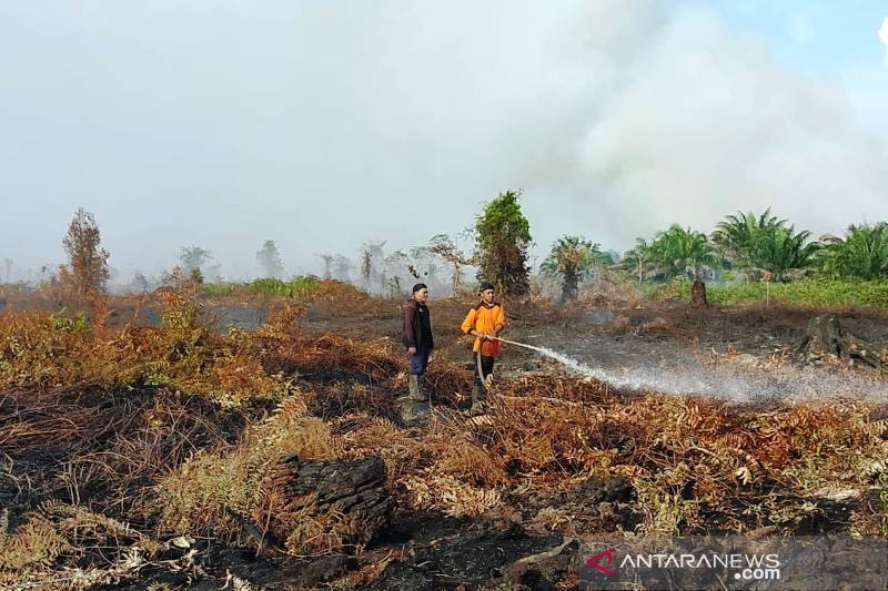 Kebakaran Lahan Gambut di Aceh Barat Meluas