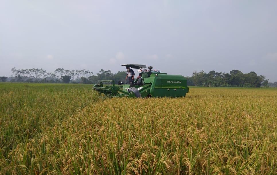 Petani Tabanan Didorong Manfaatkan Alsintan untuk Panen