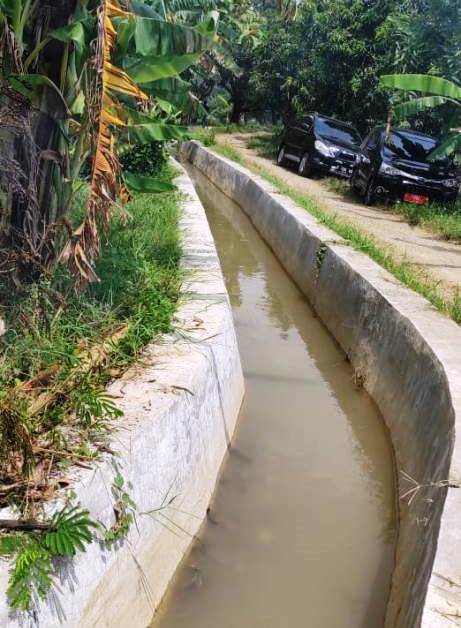 IP Padi di Indramayu Naik Berkat Program Padat Karya RJIT Kementan IP Padi di Indramayu Naik Berkat Program Padat Karya RJIT Kementan