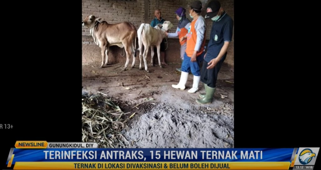 Puluhan Warga Gunungkidul Diduga Terkena Antraks