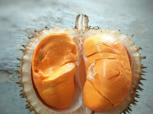 Mirip Durian, Inilah Elai Buah Endemik Khas Kalimantan