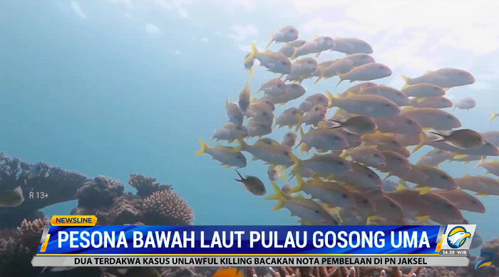Pesona Bawah Laut Pulau Gosong Uma