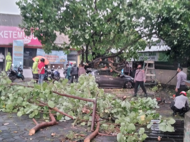 Puluhan Lokasi di Sleman Dilanda Hujan Angin