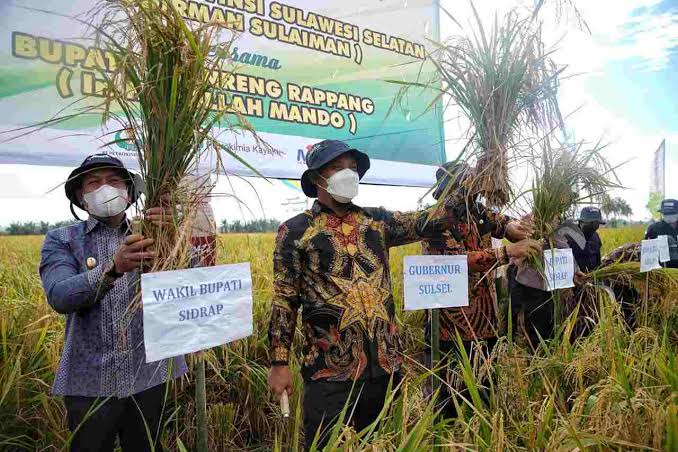 Perekonomian Sulsel Tumbuh Positif Pertanian Penyumbang Tertinggi