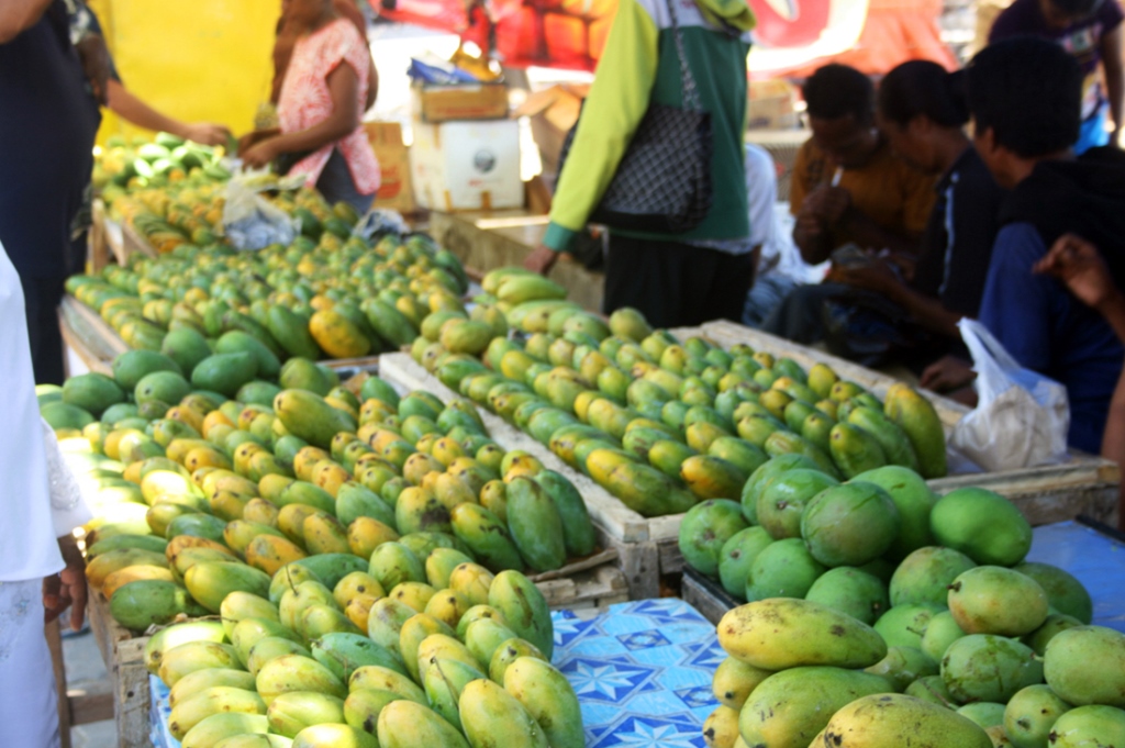 Pasar Menjanjikan, Mangga Food Estate Bakal Mampu Bersaing di Eropa Pasar Menjanjikan, Mangga Food Estate Bakal Mampu Bersaing di Eropa