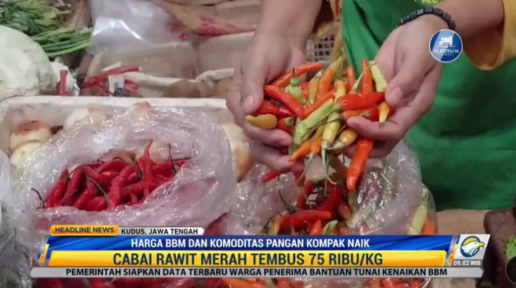 Harga Bahan Pangan Melonjak Terdampak Harga Bbm