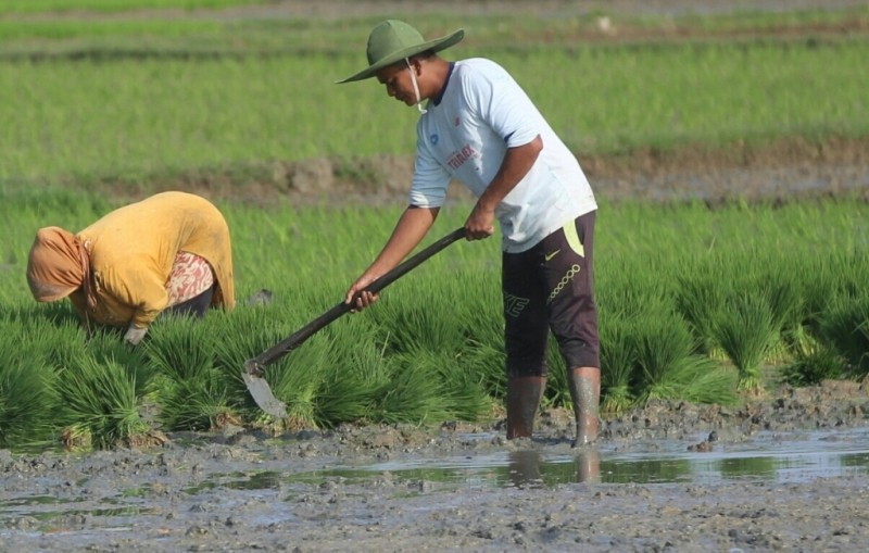 Kementan Dukung Pertanian di Kendari dengan RJIT Kementan Dukung Pertanian di Kendari dengan RJIT