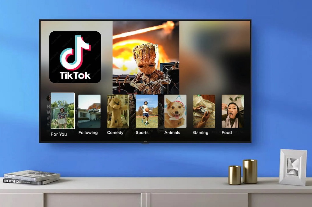 TikTok TV Hadir di Indonesia Pekan Ini