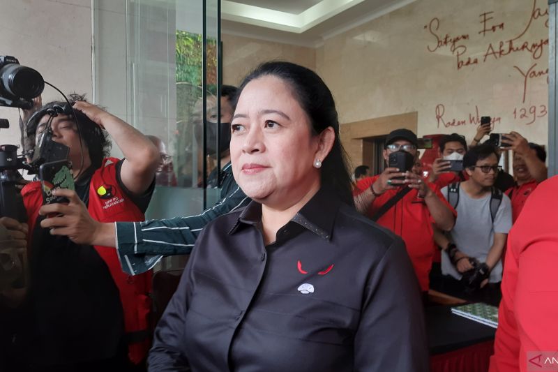 Pidato Di Depan Relawan Puan Maharani Singgung Soal Saudara Yang Tak