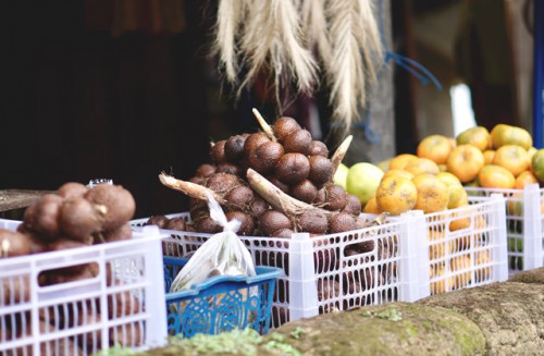 4 Tips Memilih Salak yang Matang