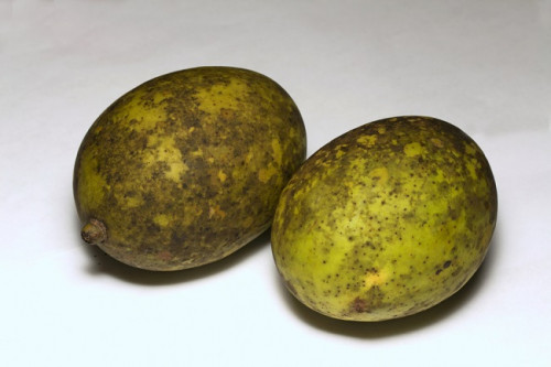 Manfaat dan Efek Samping Mengonsumsi Buah Bacang yang Jarang Diketahui ...