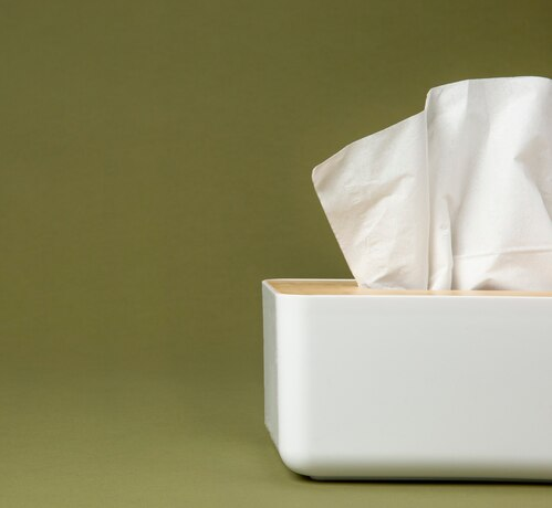 Ramah Lingkungan dan Lembut, Ini Tisu Bambu yang Cocok untuk Kesehatan ...