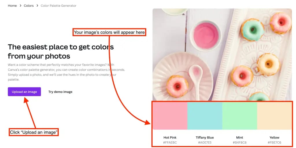 Cara Menggunakan Canva Color Panel Generator untuk Pemula Cara Menggunakan Canva Color Panel Generator untuk Pemula