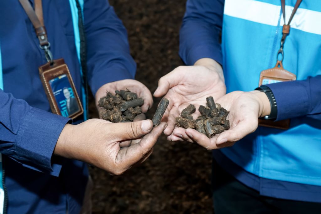 Pemanfaatan Biomassa Mampu Tekan Emisi Karbon Pemanfaatan Biomassa Mampu Tekan Emisi Karbon