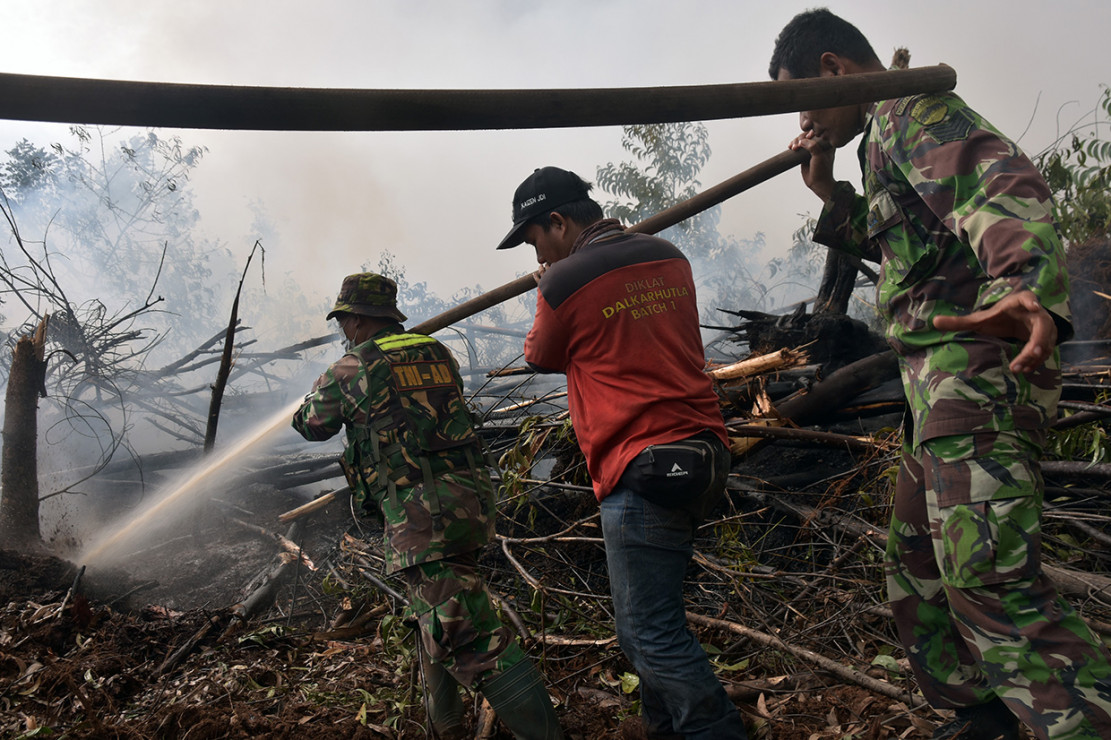 27 Ribu Hektare Hutan dan Lahan di Riau Hangus Terbakar - Medcom.id