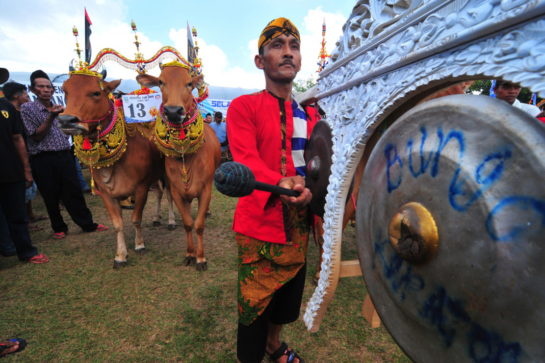 Kemeriahan Kontes Sapi Sonok se-Madura