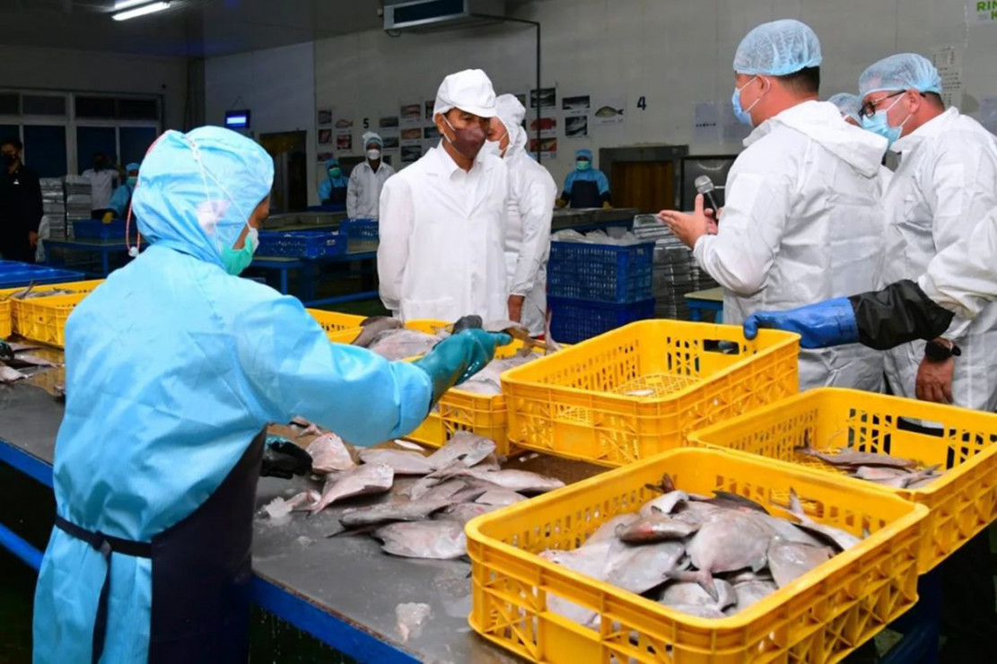 Jokowi Tinjau Unit Pengolahan Ikan dan Budidaya Rumput Laut di Maluku