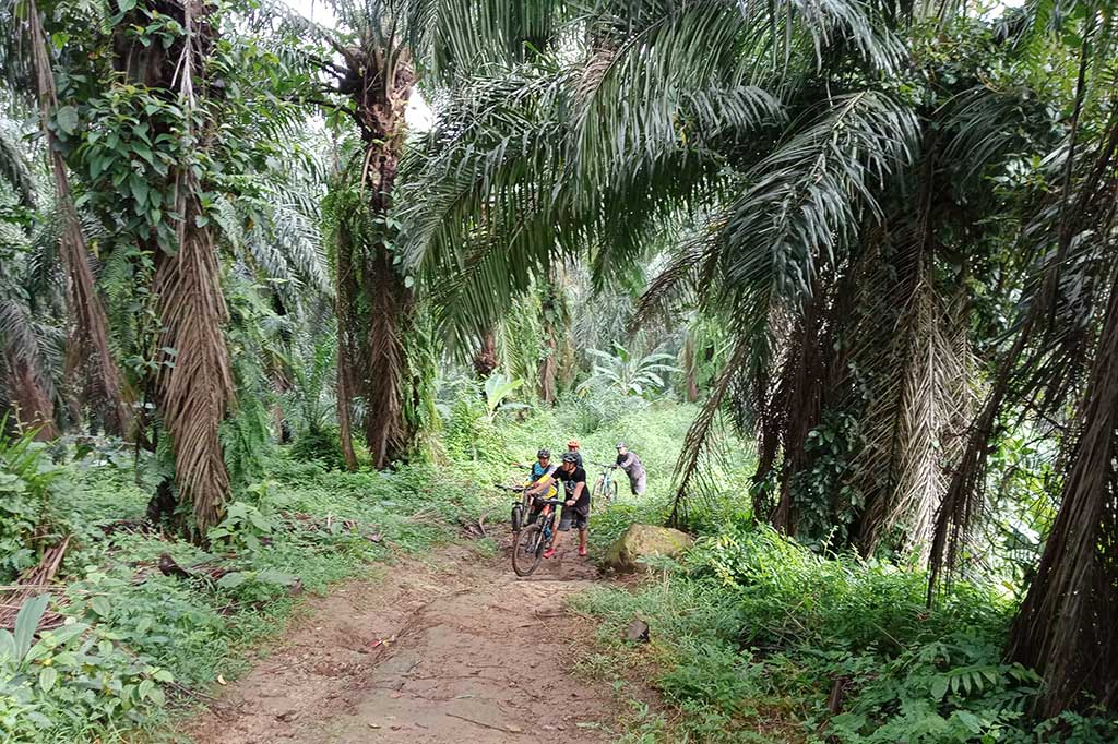 Menikmati Pesona Alam dari Puncak Rarata dengan Bersepeda