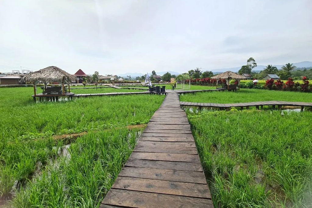 Sulap Sawah Jadi Destinasi Wisata Keluarga Nan Indah - Medcom.id