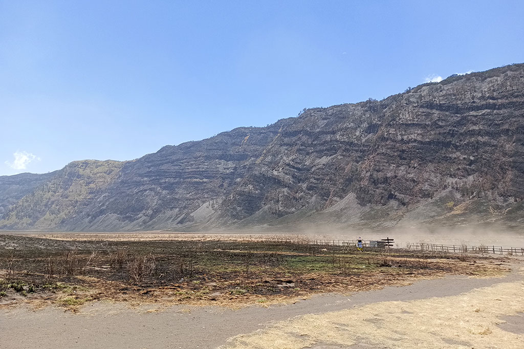 Pemulihan Ekosistem Gunung Bromo Pascakebakaran Butuh Rp3,5 Miliar