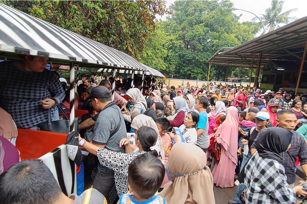 Foto: Kandang Gajah Jadi Favorit Pengunjung Ragunan