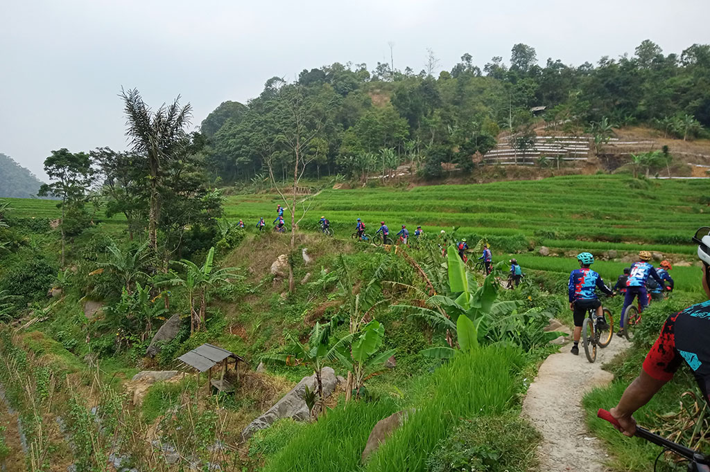 Gowes Cianten-Cisalada, Nikmati Kesejukan Kebun Teh hingga Keindahan ...