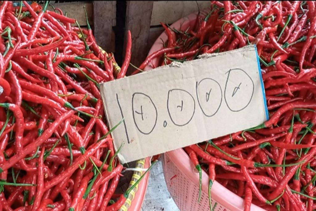 Harga Cabai Rawit di Bangka Masih Bertahan Rp120 Ribu Perkilogram