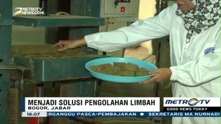 Dosen IPB Ciptakan Wafer untuk Pakan Ternak