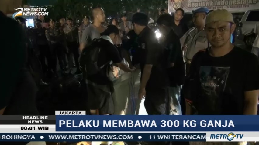 Polda Metro Gagalkan Penyelundupan 300 Kg Ganja