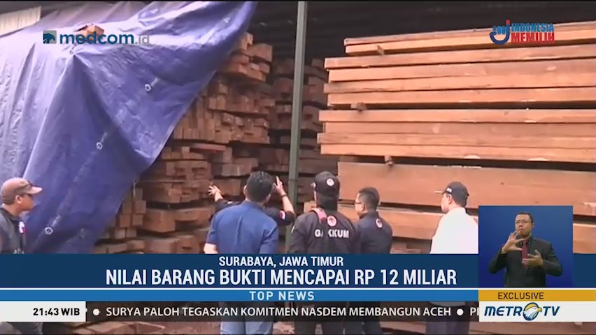 KLHK Gagalkan Penyelundupan Kayu Ilegal Asal Papua