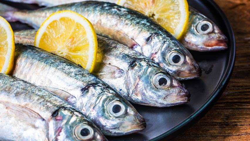 Tips Memilih Ikan Segar dan Berkualitas