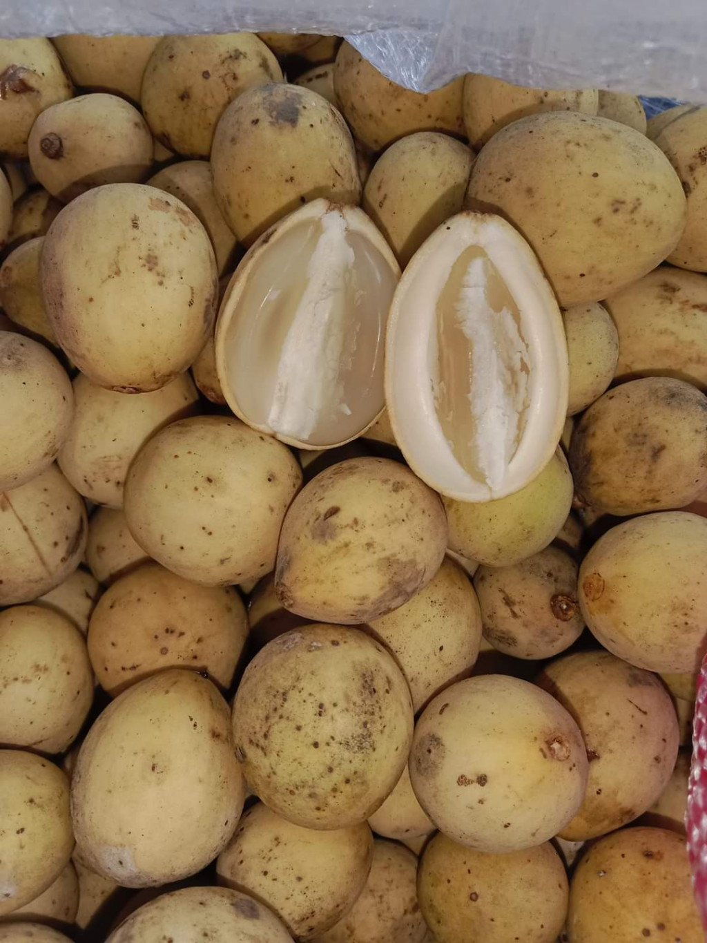 Kamu Harus Tau! Ternyata Buah Duku Punya Manfaat untuk Kesehatan Lho