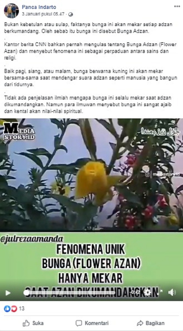 [Cek Fakta] Bunga Ini Mekar Hanya saat Azan Berkumandang? Ini Faktanya