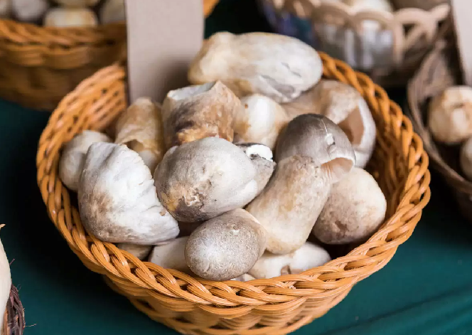 Ini Dia 3 Jamur Bulat yang Aman Dikonsumsi