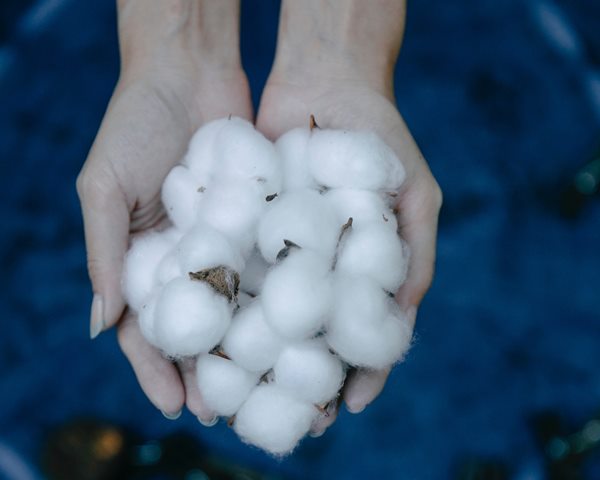 Cara Bedakan Bercak Lepra dengan Bercak Biasa